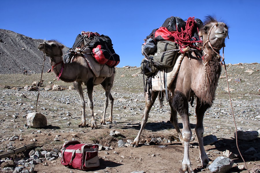 the Art of 12: Easier For ~A Camel~ To Get Through ~An Eye Of A Needle ...