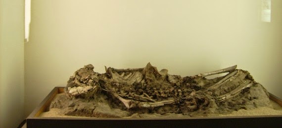 Sumerian : Prepare to Solve Mystery of Sumerian DNA