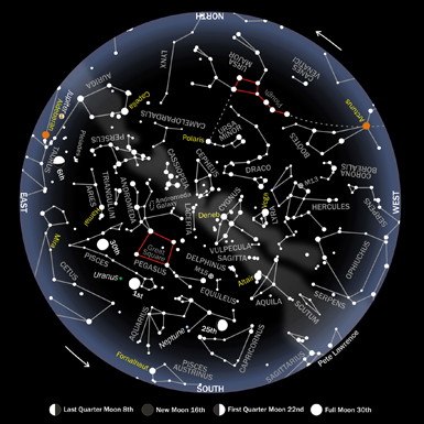 The Stricker Post: The Stars Are Out Tonight