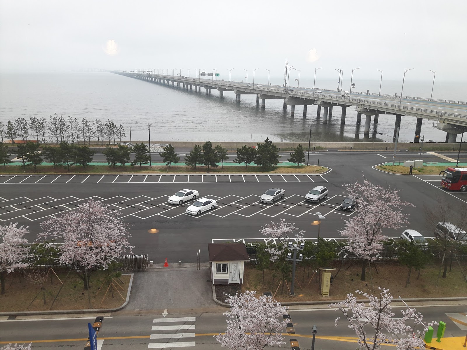 Elle is everywhere: Seoul 5D4N: Incheon Bridge