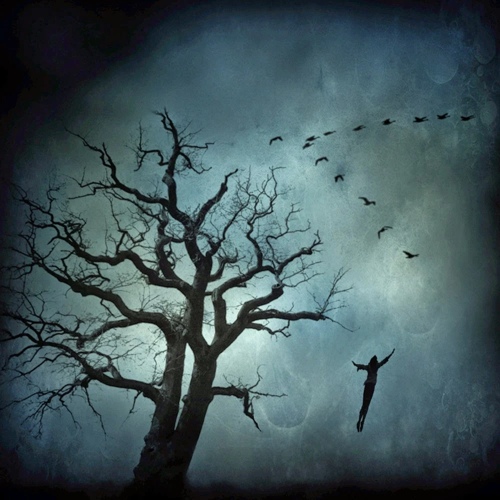 Anja Bührer | Surreal silhouettes | Tutt'Art@ Masters