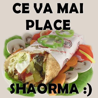 TZEEEAC: Romanian Shaorma: A Primer