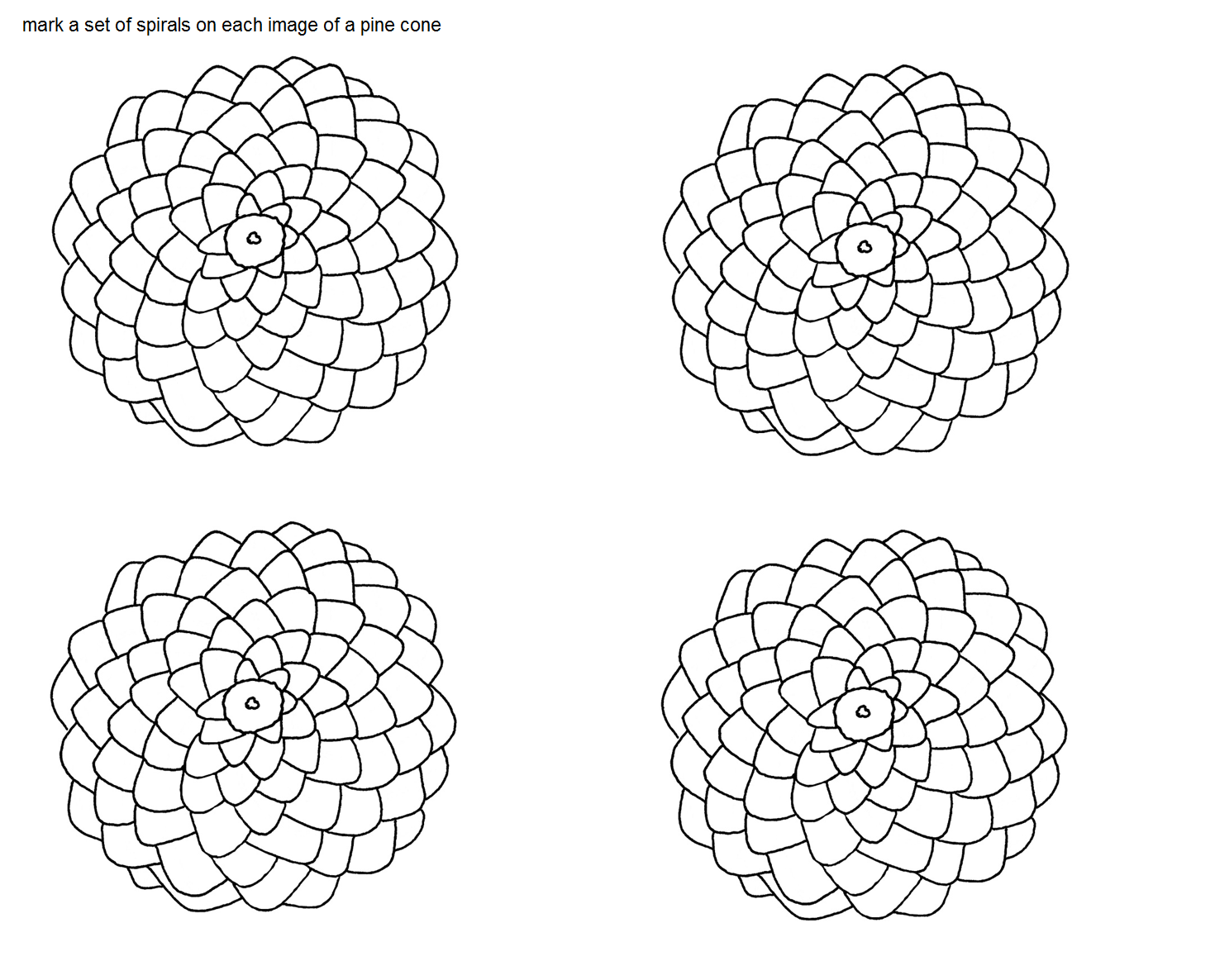 MEDIAN Don Steward mathematics teaching: spirals