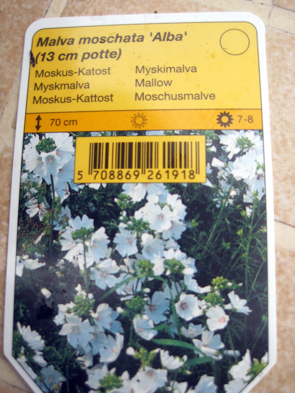 Landbohaven: Så er anhængeren og bilen pakket.