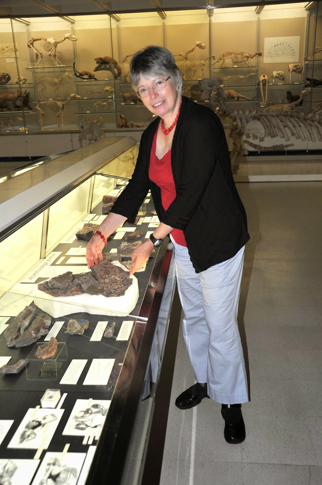 Science in the clouds: 'One fossil can overturn anything' Interview ...