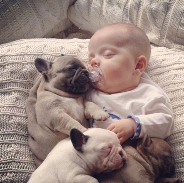 Cute Babies With Puppies 2016-17(Amazing Funny Pics) ~ F7view