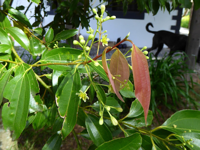 Nos aventures en Uruguay - 34°35'12.08"S 55°01'37.16" O: Connaissez ...