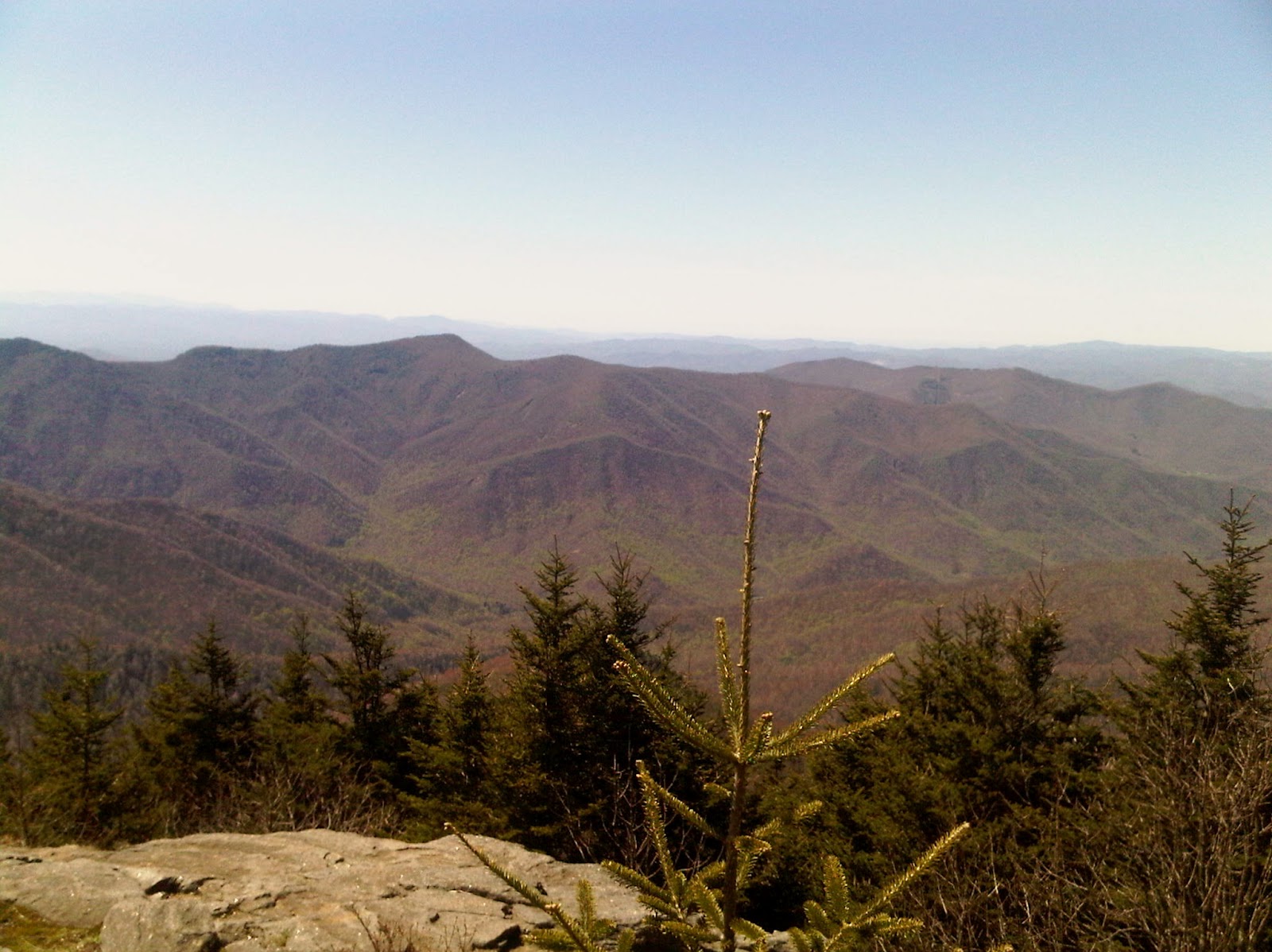 NC BACKCOUNTRY: Mt. Mitchell State Park