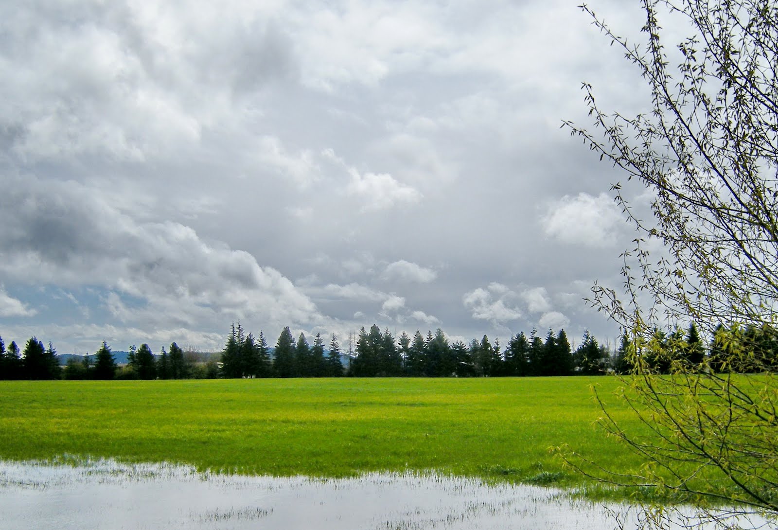 W I L D C A T V I L L E: End of March scene