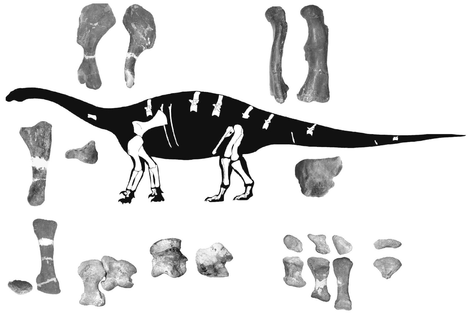 Waxing Paleontological: They Might Be Giants