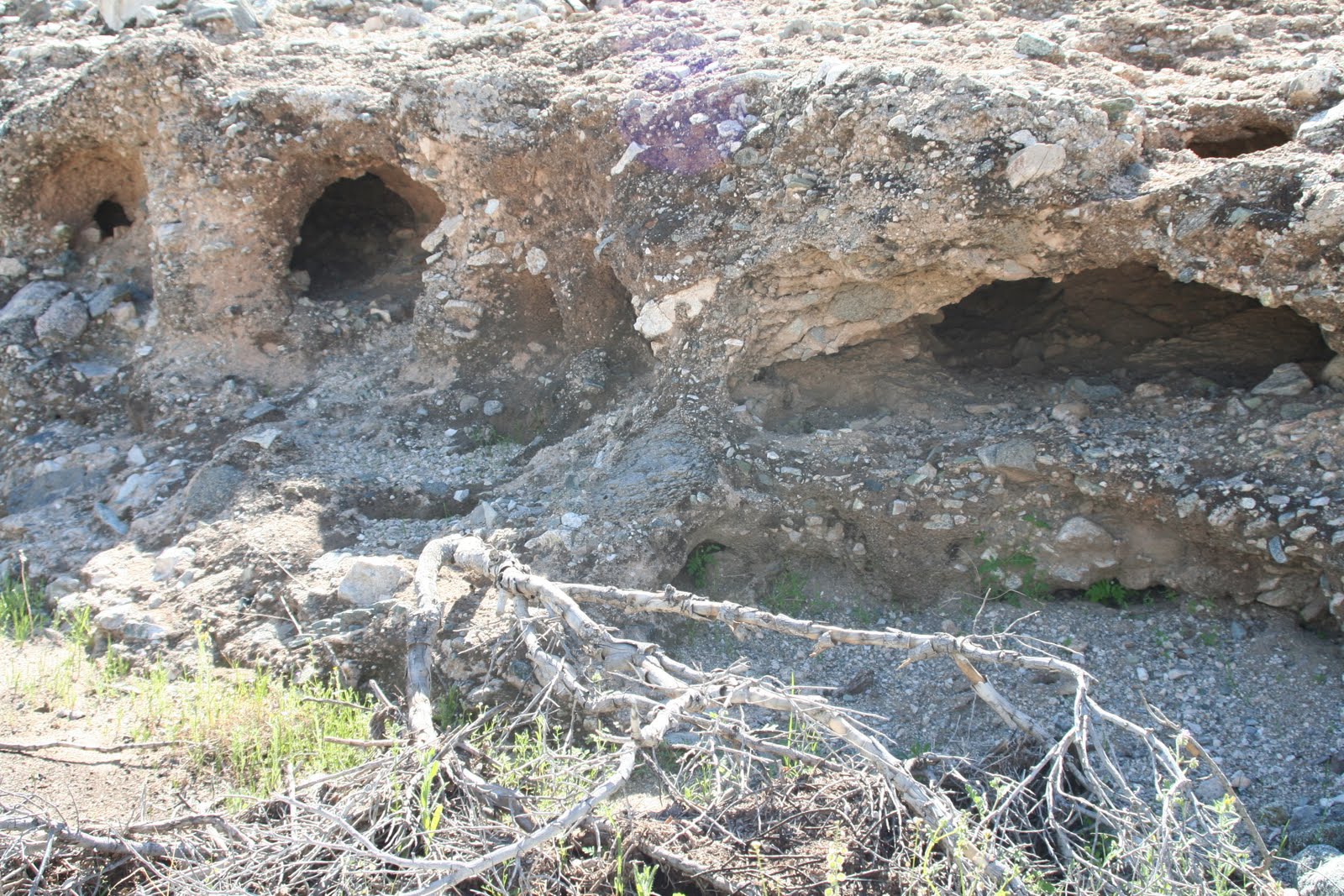 Practical Biology: science for everyone: Basic desert soil horizons