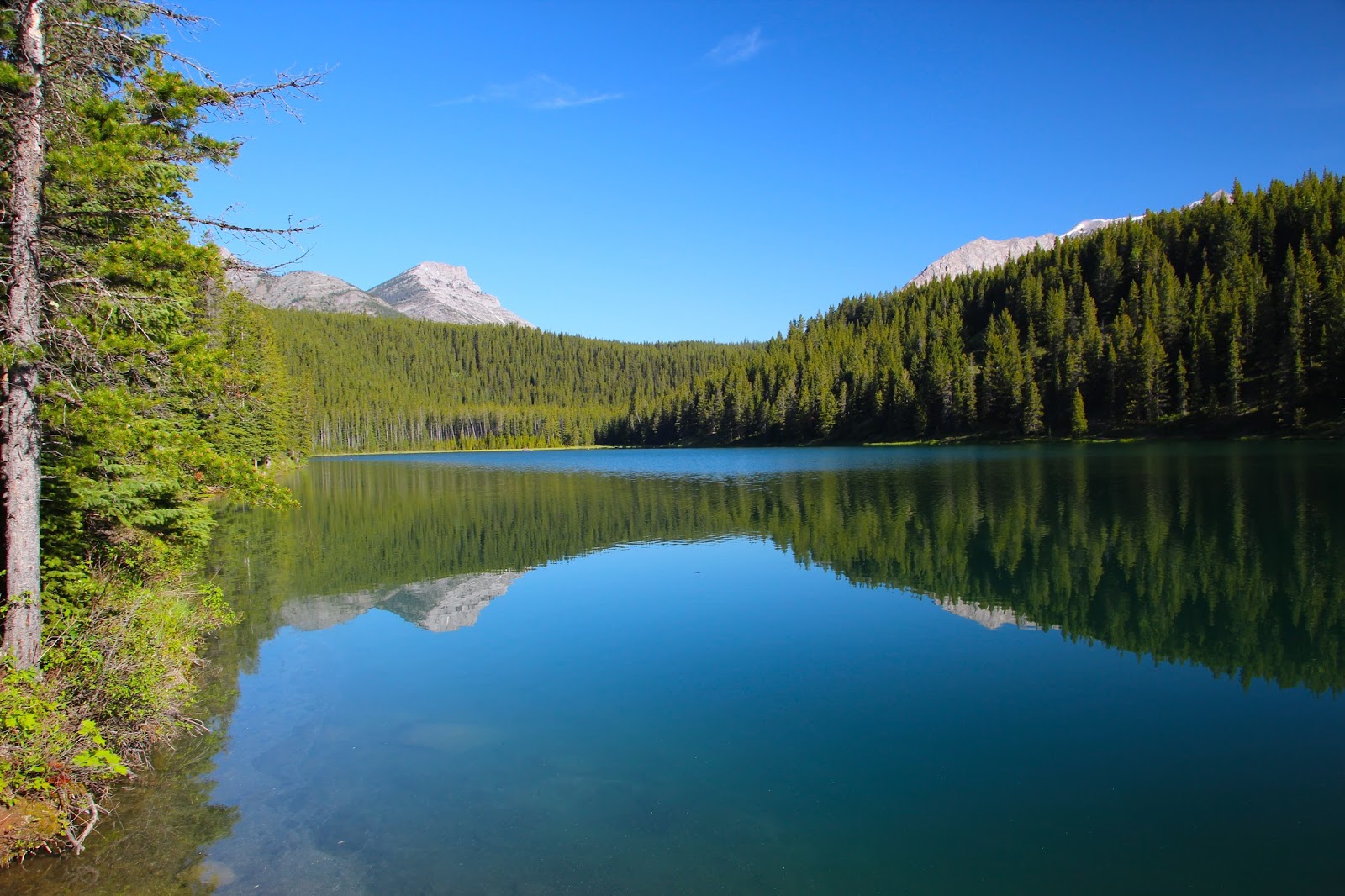 Get Me Outdoors: Ryan's Stag at Chinook Lake