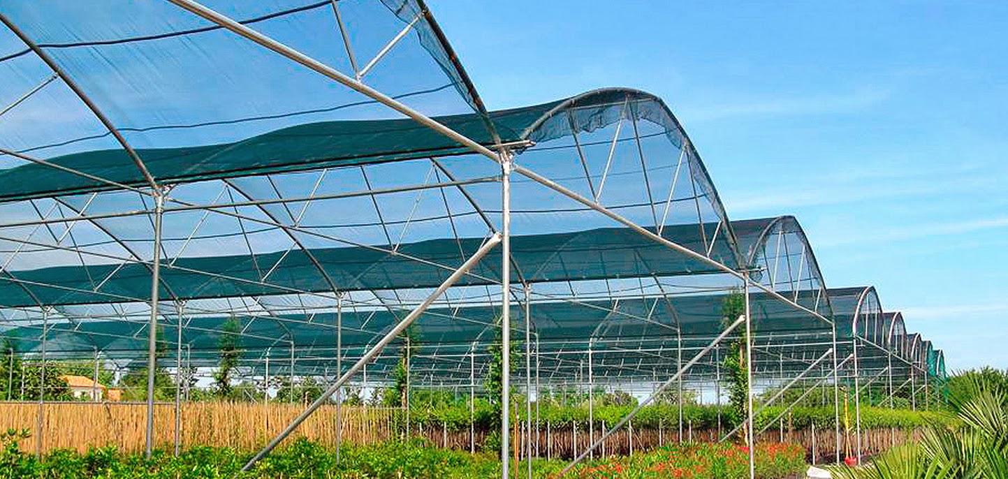 THM - Tecnologías de la Horticultura Mediterránea: Los viveros para ...