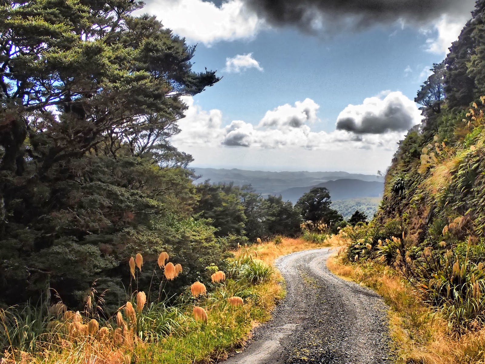 All Things Visible...: Te Aroha, New Zealand