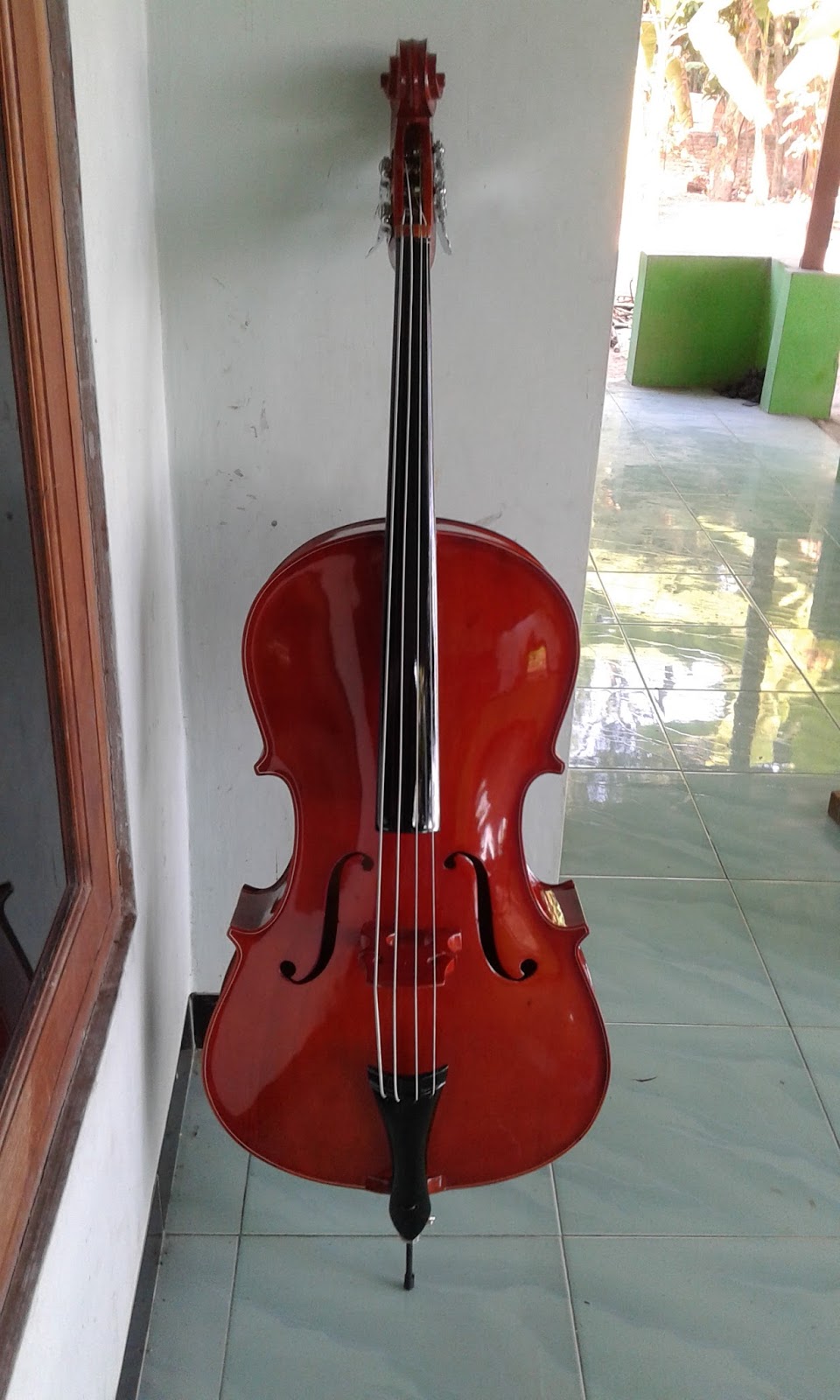 DIVA MUSIK: CELLO DAN CONTRA BASS