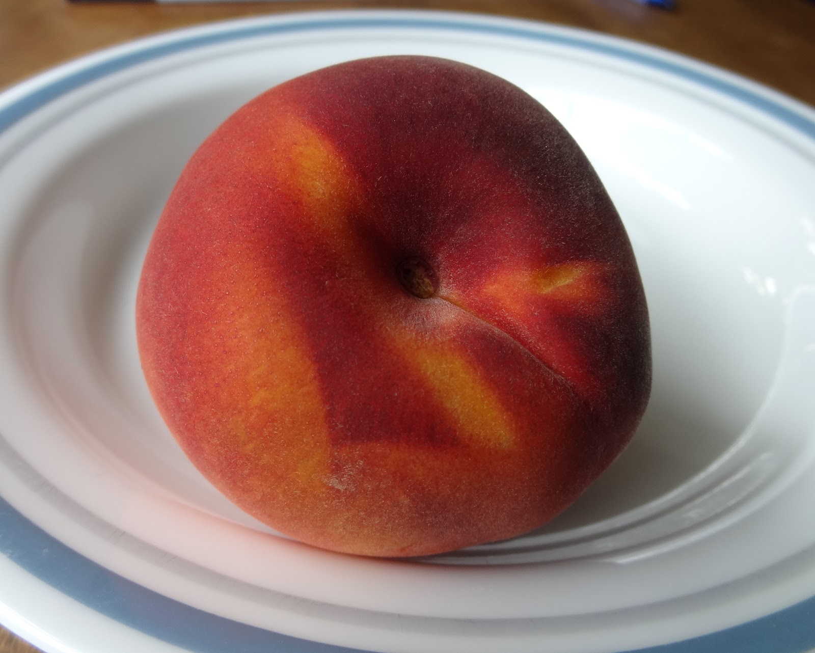 Live and Learn-Toss and Turn: 08/01/2012 - 09/01/2012