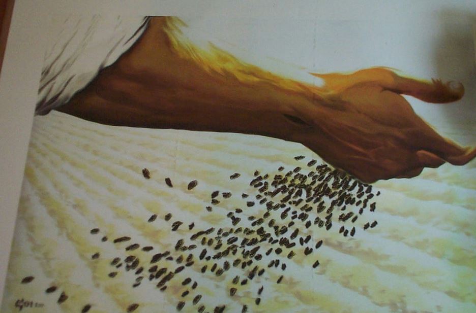 BEARING FRUIT: THE SOWER & THE SEED