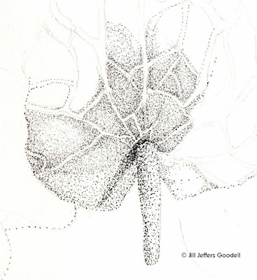 Studio Muses: Pen and Ink Part III Techniques