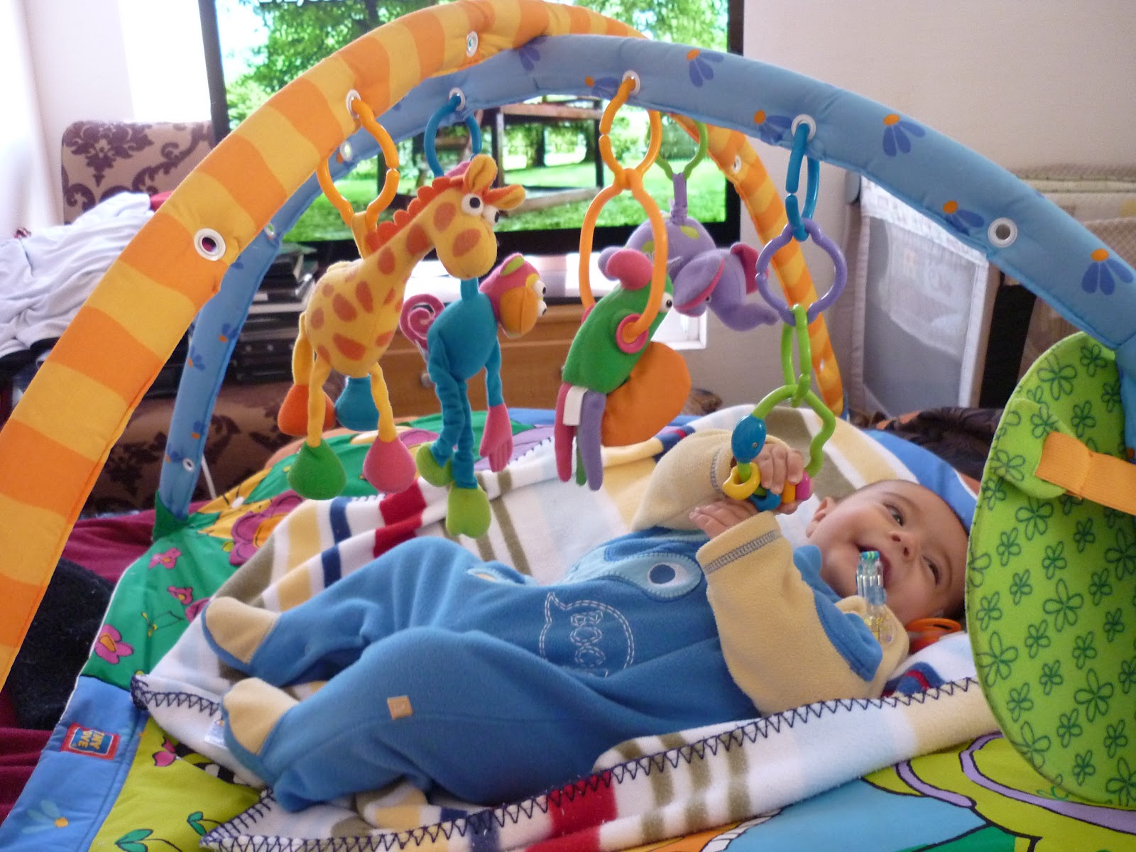 Conejo veloz: Conejomóvil