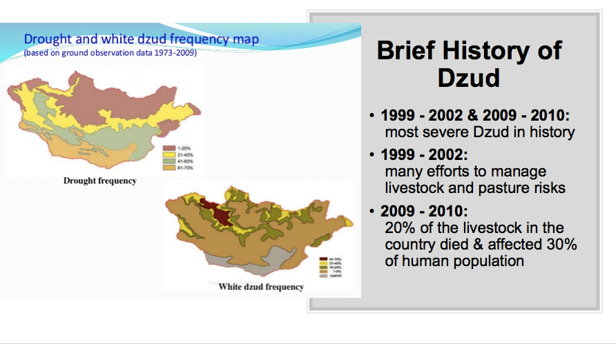 AnthroScopes : Sporadic Snapshots from around the Globe: Mongolian Dzud