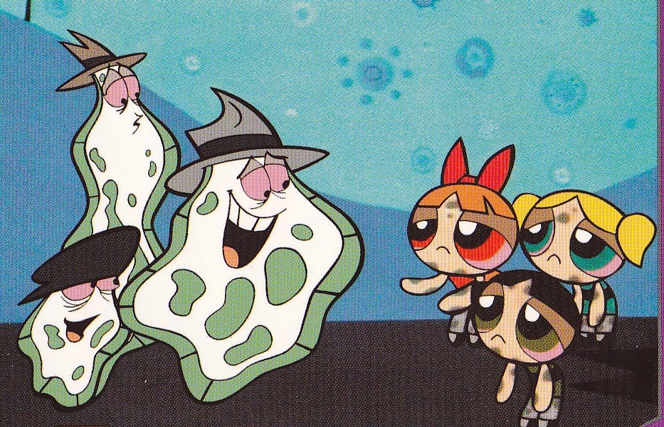 Powerpuff Girls The Amoeba Boys