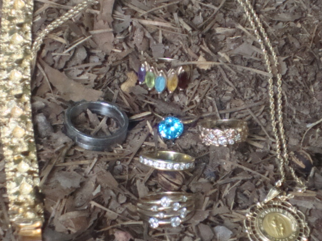 Metro Atlanta's Lost Ring Finder!: How To Find A Lost Ring