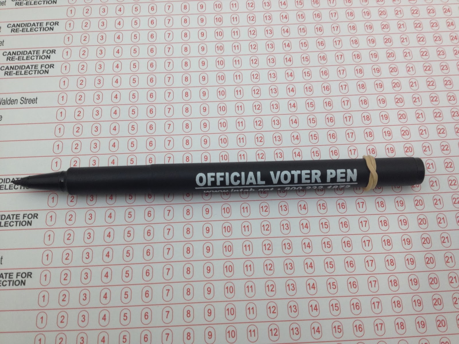 Left Bank of the Charles: Cambridge Breaks Out the Rulers in 2013 Election