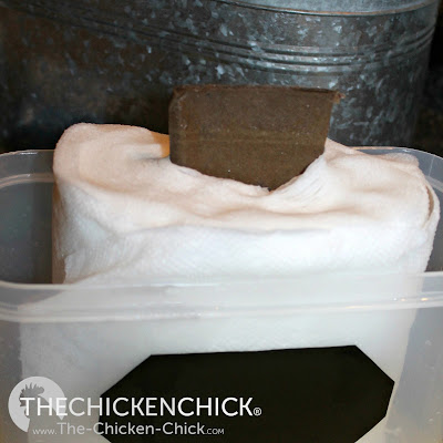 Homemade Hand Sanitizer & Wipes | The Chicken Chick®
