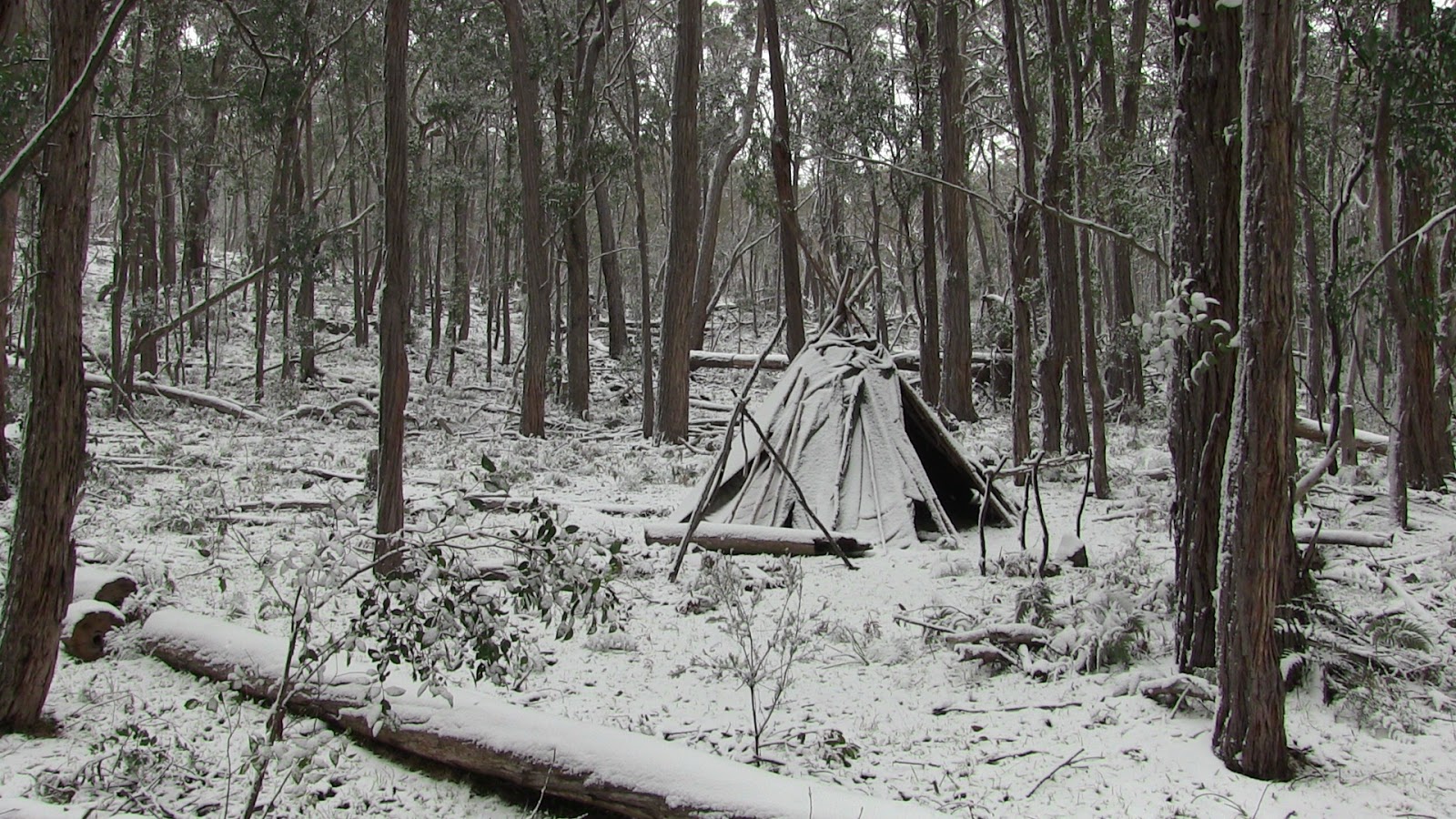 Australian Survival and Preppers..: NEW Australian Survival Forum.