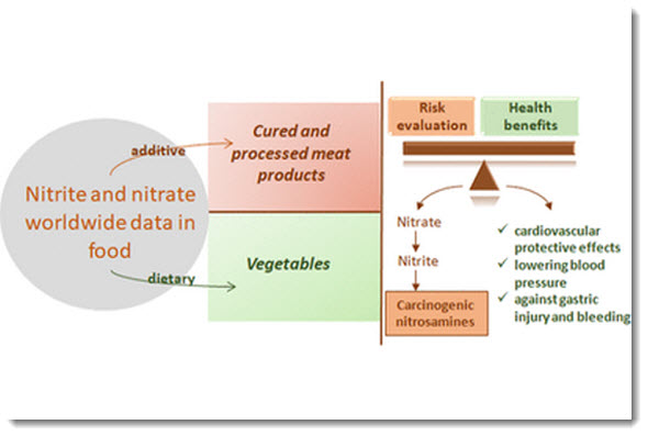 Avibert: Nitrate and Nitrites in Foods Zeynep KalaycıoğluF. Bedia Erim*