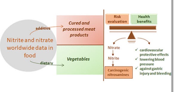 Avibert: Nitrate and Nitrites in Foods Zeynep KalaycıoğluF. Bedia Erim*