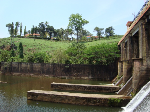 Maniyar near Gavi in Pathanamthitta - aalmaramspot