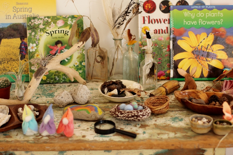 this brown wren: the nature table