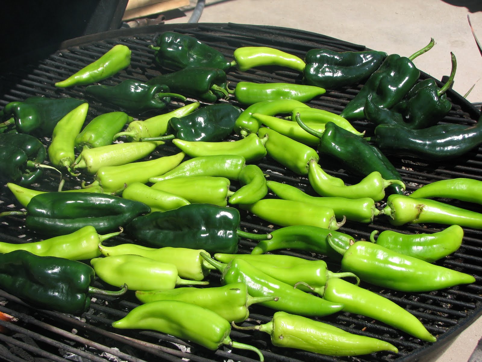 Mad Coyote Joe's Blah Blah Blog: Fire Roasting Chiles