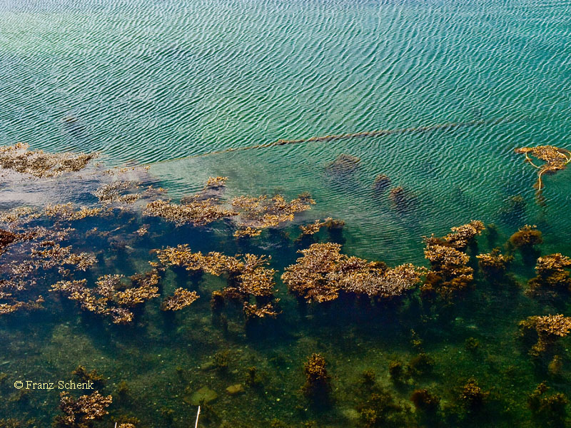 South Kerry Camera Club: Mass Path Derrynane