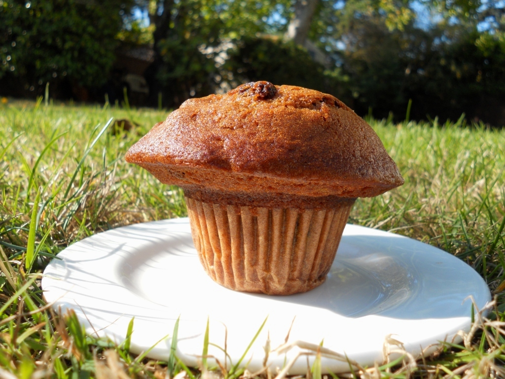 Snacking Squirrel: Pumpkin Raisin Muffin