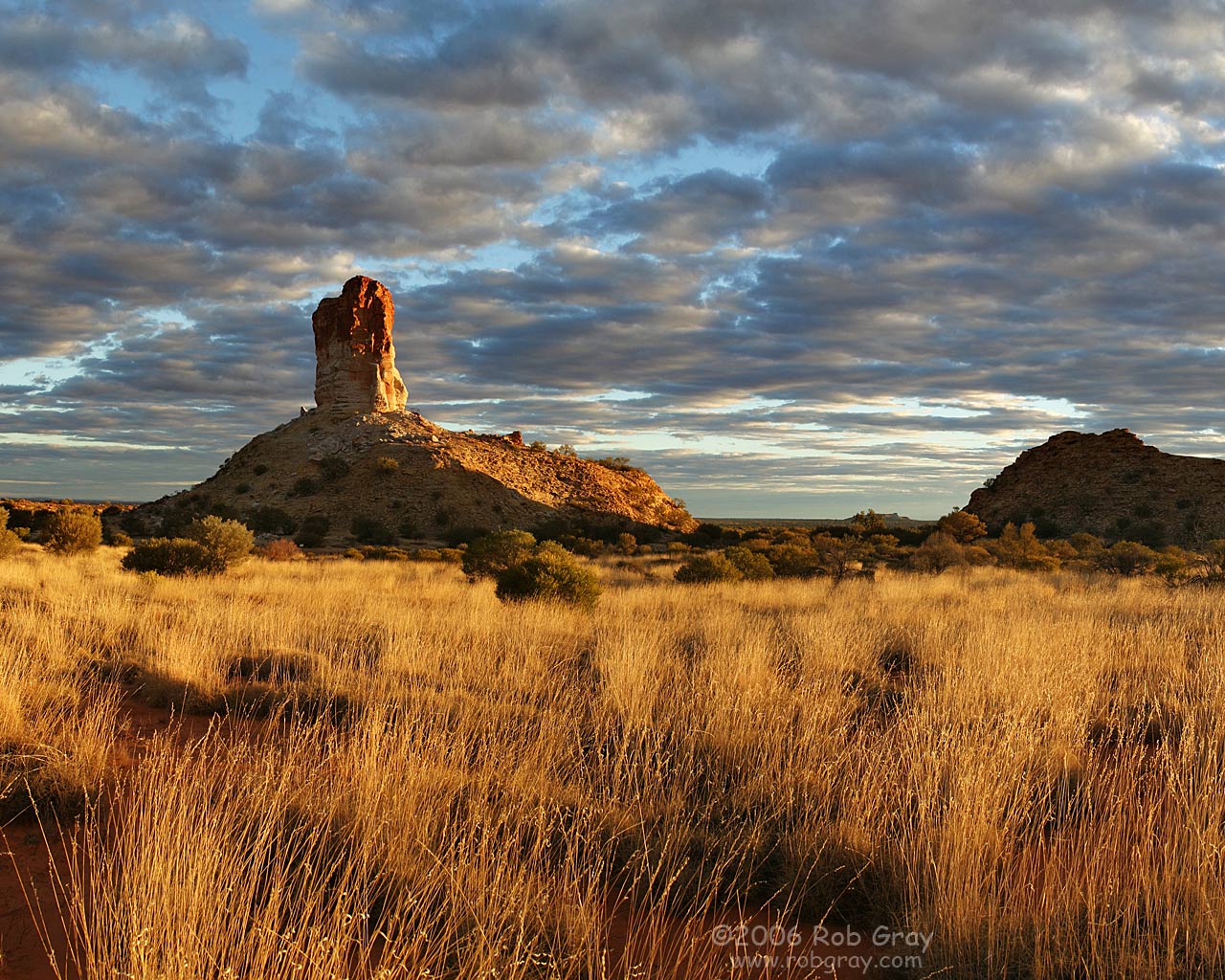 Free wallpapers: nature scenes wallpaper