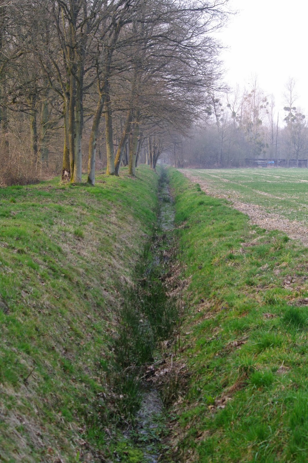 Charmes méconnus du Hurepoix .: A la découverte des Yvelines à pied ...