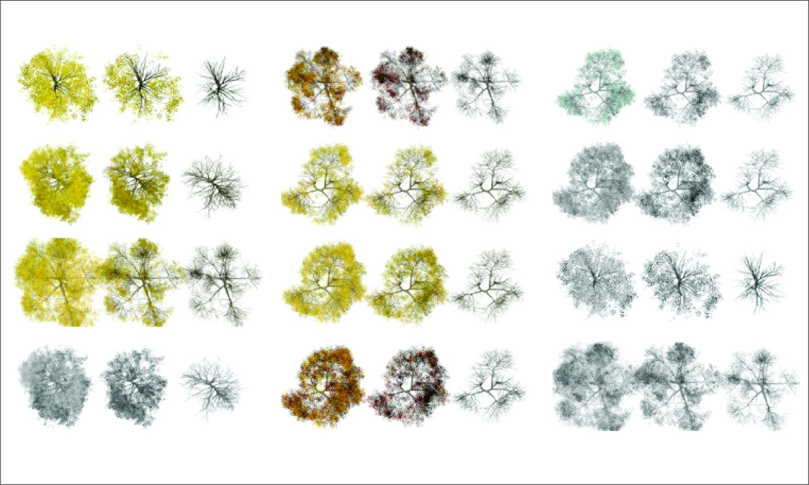 Árboles en planta - vista superior [png] - arq + recursos