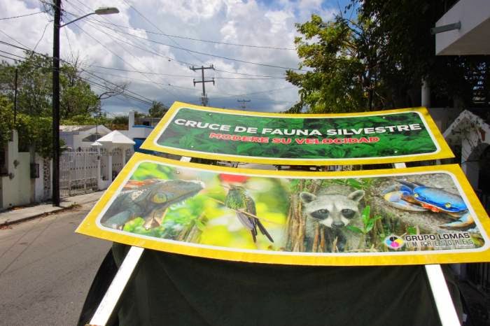 ASOCIACION ECOLOGISTA RIO MOCORETA: INCENTIVAN PROTEGER LA FAUNA EN COZUMEL