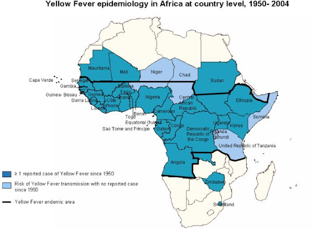 Infection Landscapes: Yellow Fever