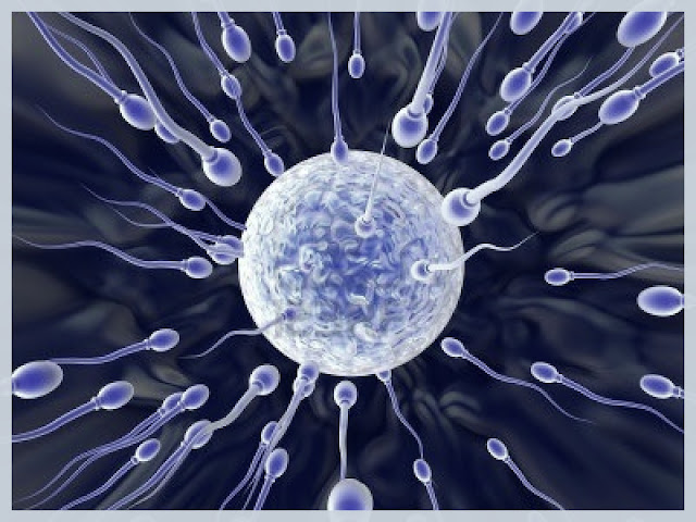 Comment maîtriser la procréation?