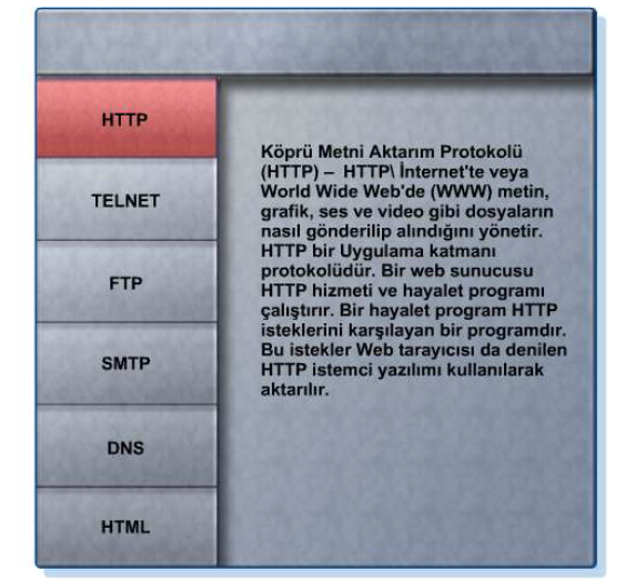 ebi: AĞ PROTOKOLLERİ