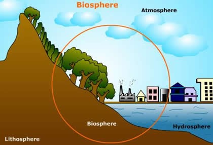 Biosphere Examples
