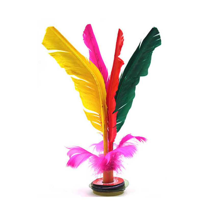 Level Field: OPEN SPORTS FOR ALL