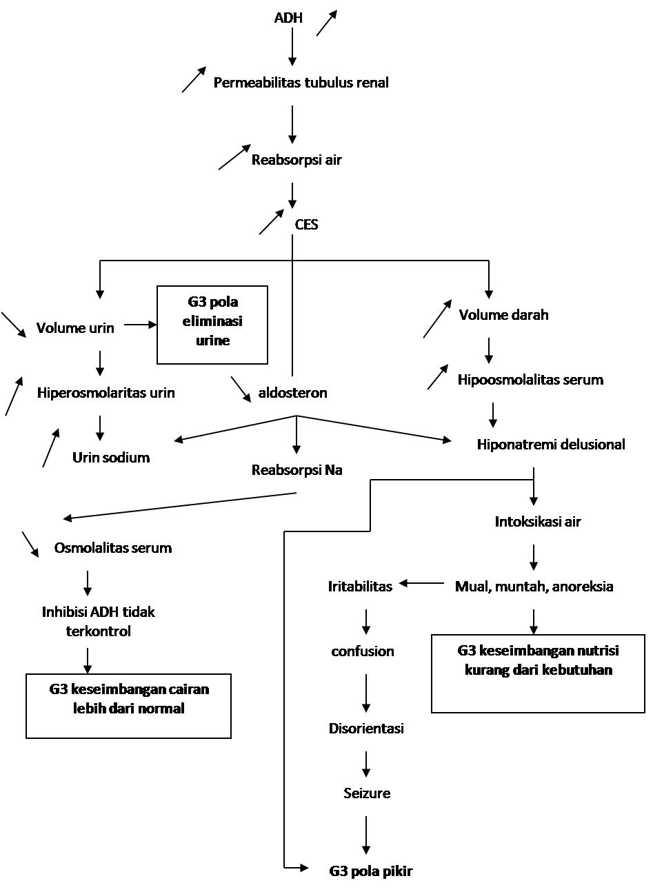 BLOG SUKA-SUKA: PATHWAY SIADH