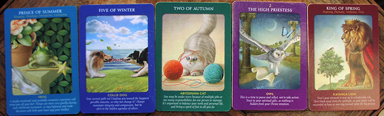 A bad witch's blog: Review: Animal Tarot by Doreen Virtue