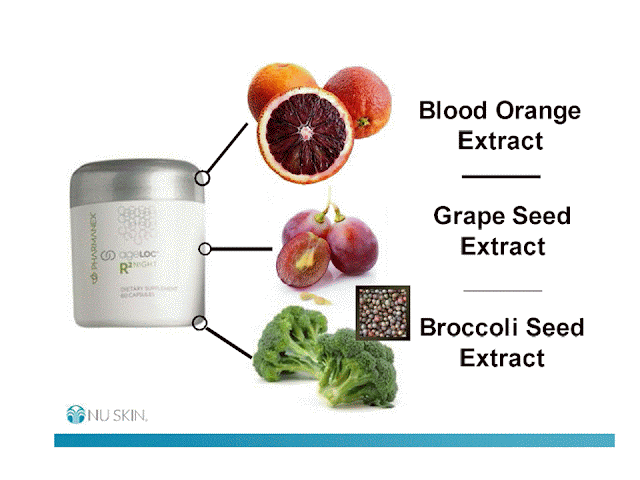 Ageloc R2: Youthful Harmony of Your Mind & Body