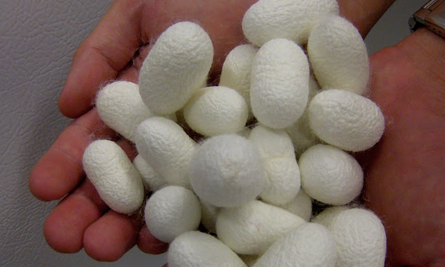 Textile Tools: 2016-07-03