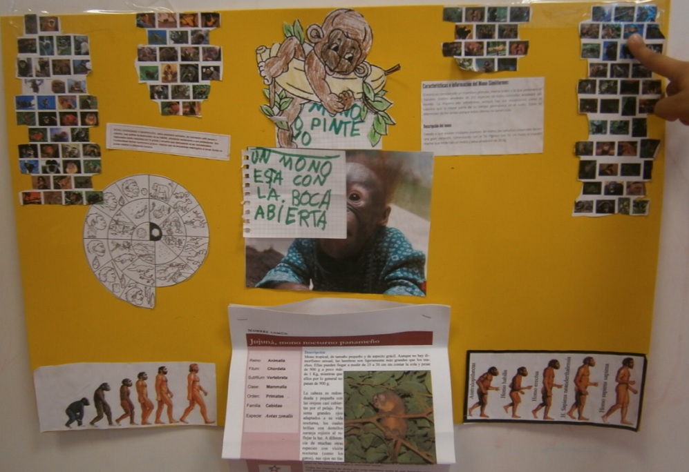 LA CLASE DE MIREN: mis experiencias en el aula: PROYECTO LOS MONOS: LA ...